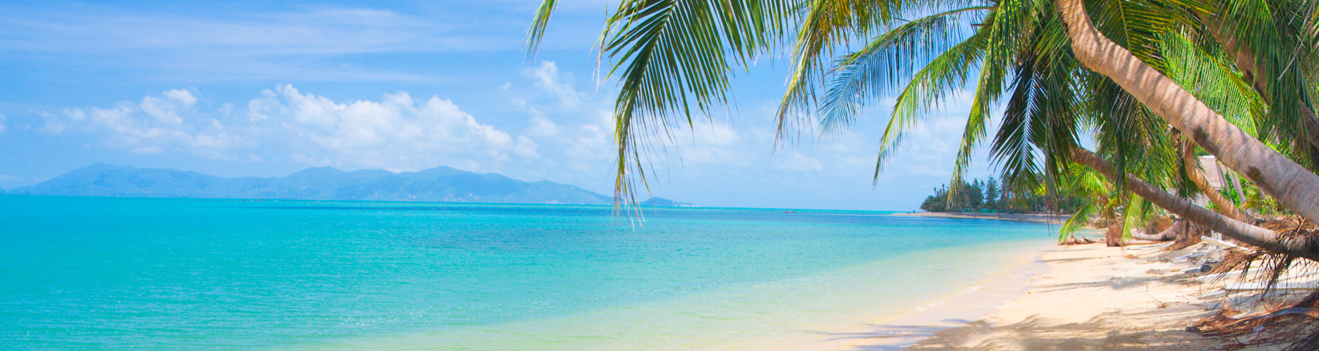 Cruise, Tropical & European Planning